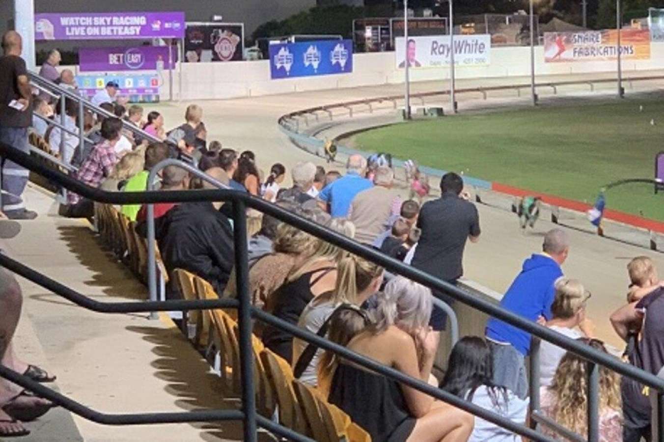 Dapto Dogs: Greyhound racing to close in June 26
