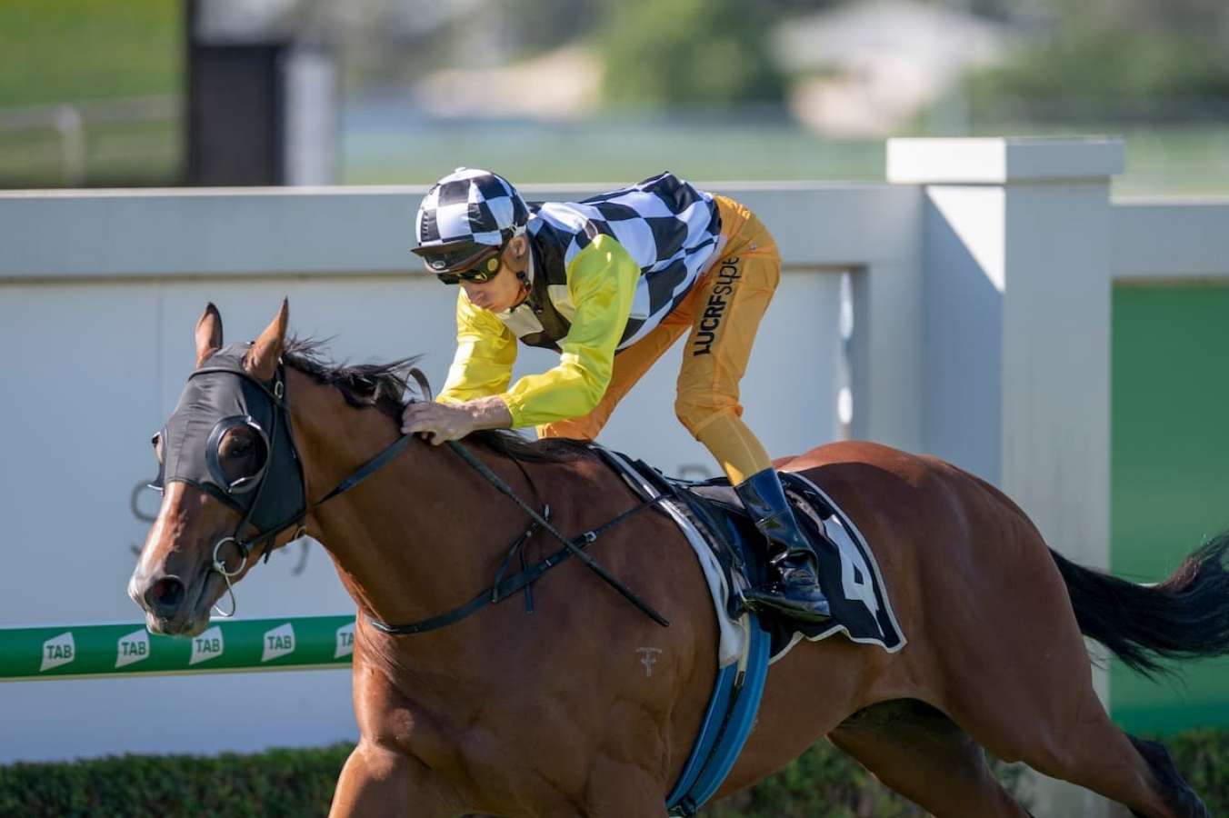 Purple Sector ends autumn on winning note