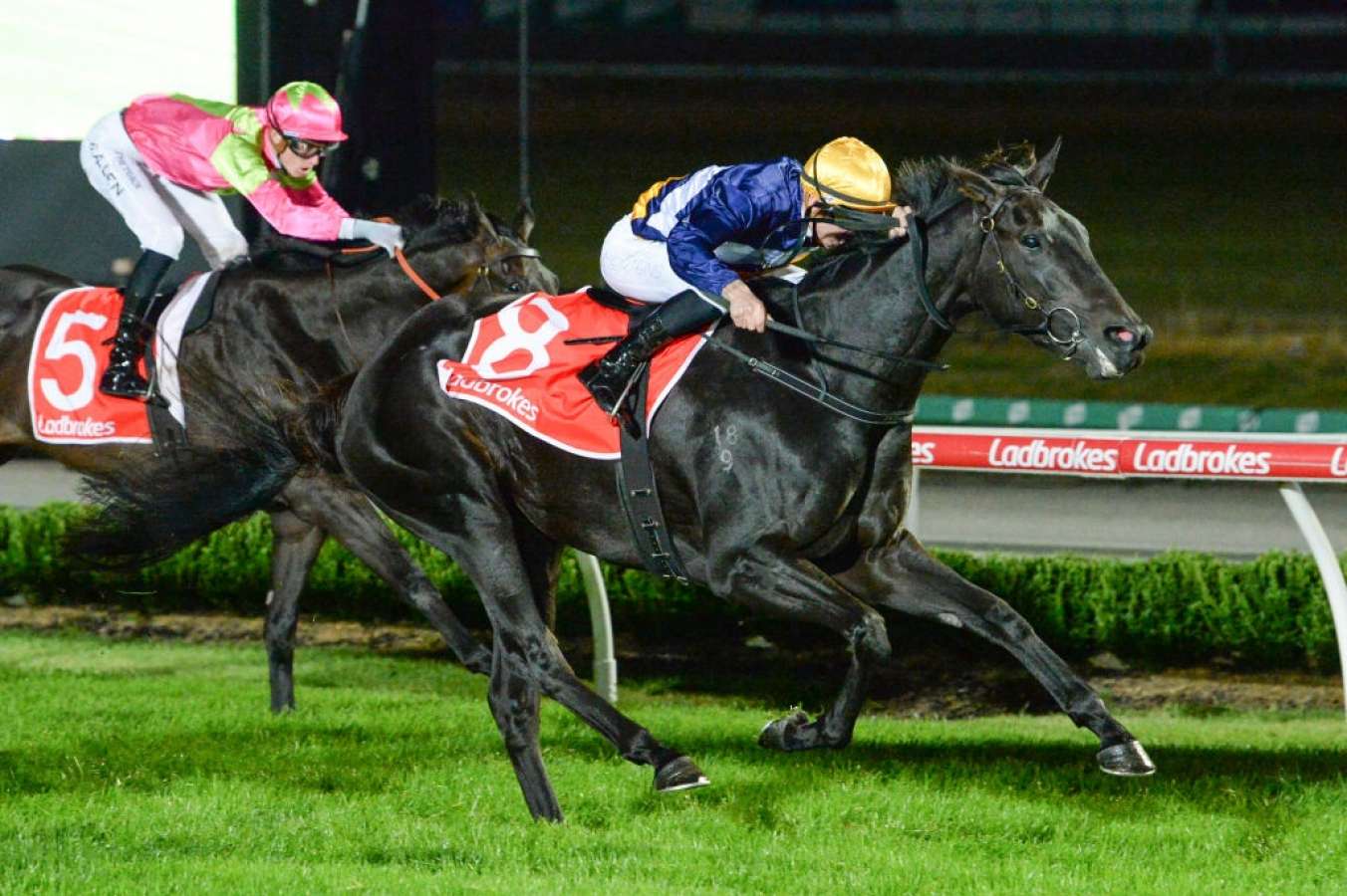 Eagle Farm preview and tips: Queensland Oaks day