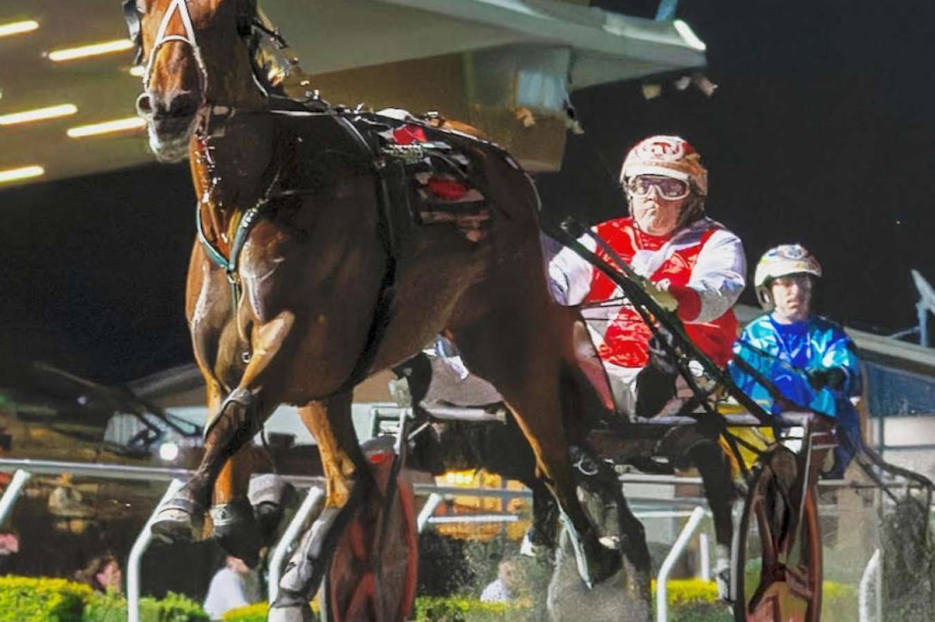 History awaits trotting superstar Queen Elida