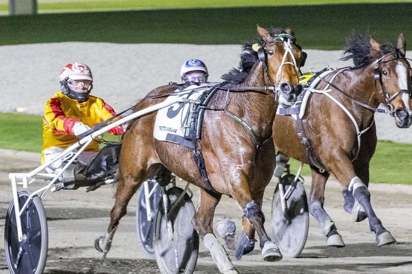 Queen Elida set to show her best in New Zealand