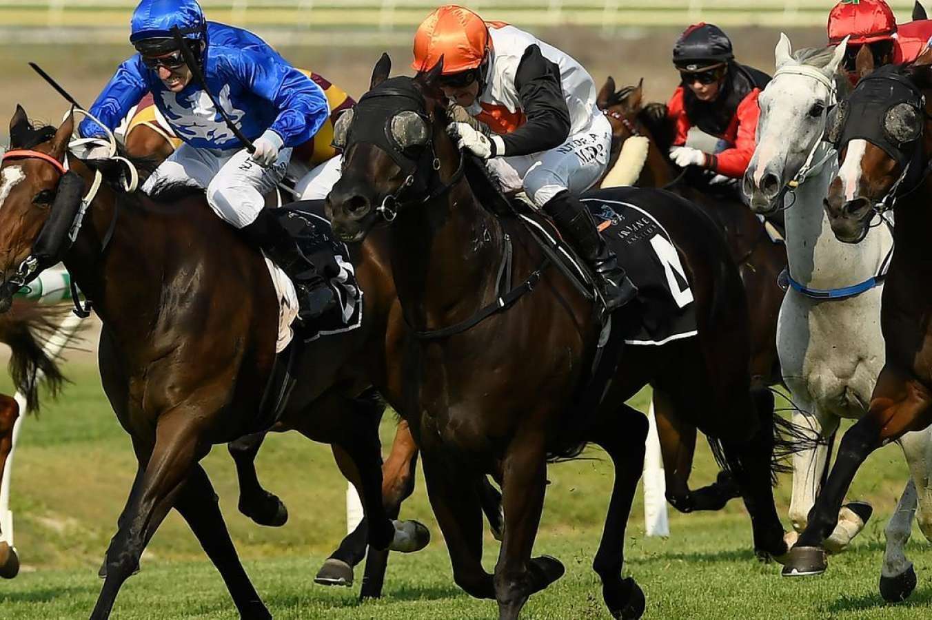 Doomben preview and tips: Best bets for Wednesday, June 7