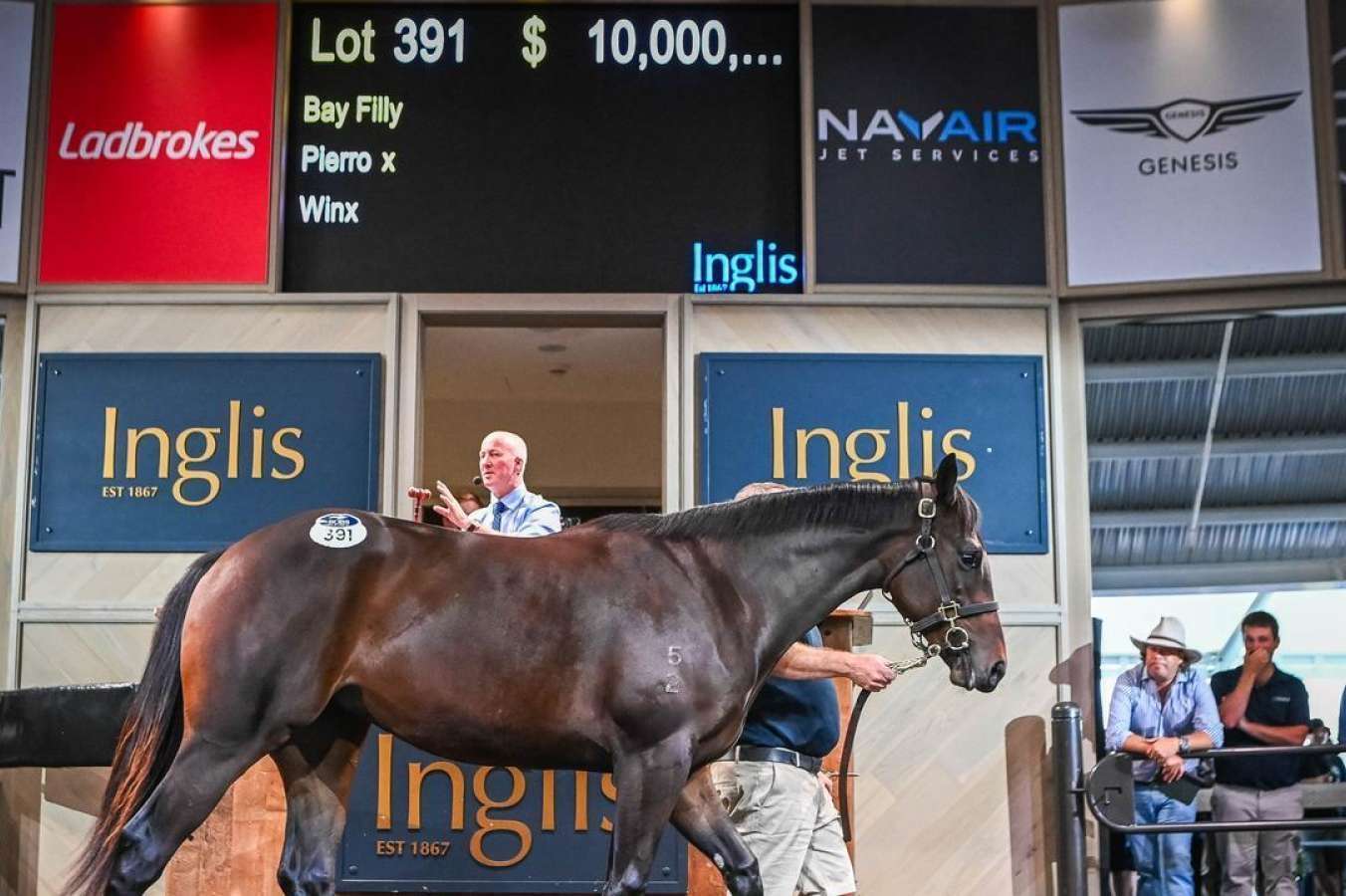 No autumn debut for Winx's $10m filly