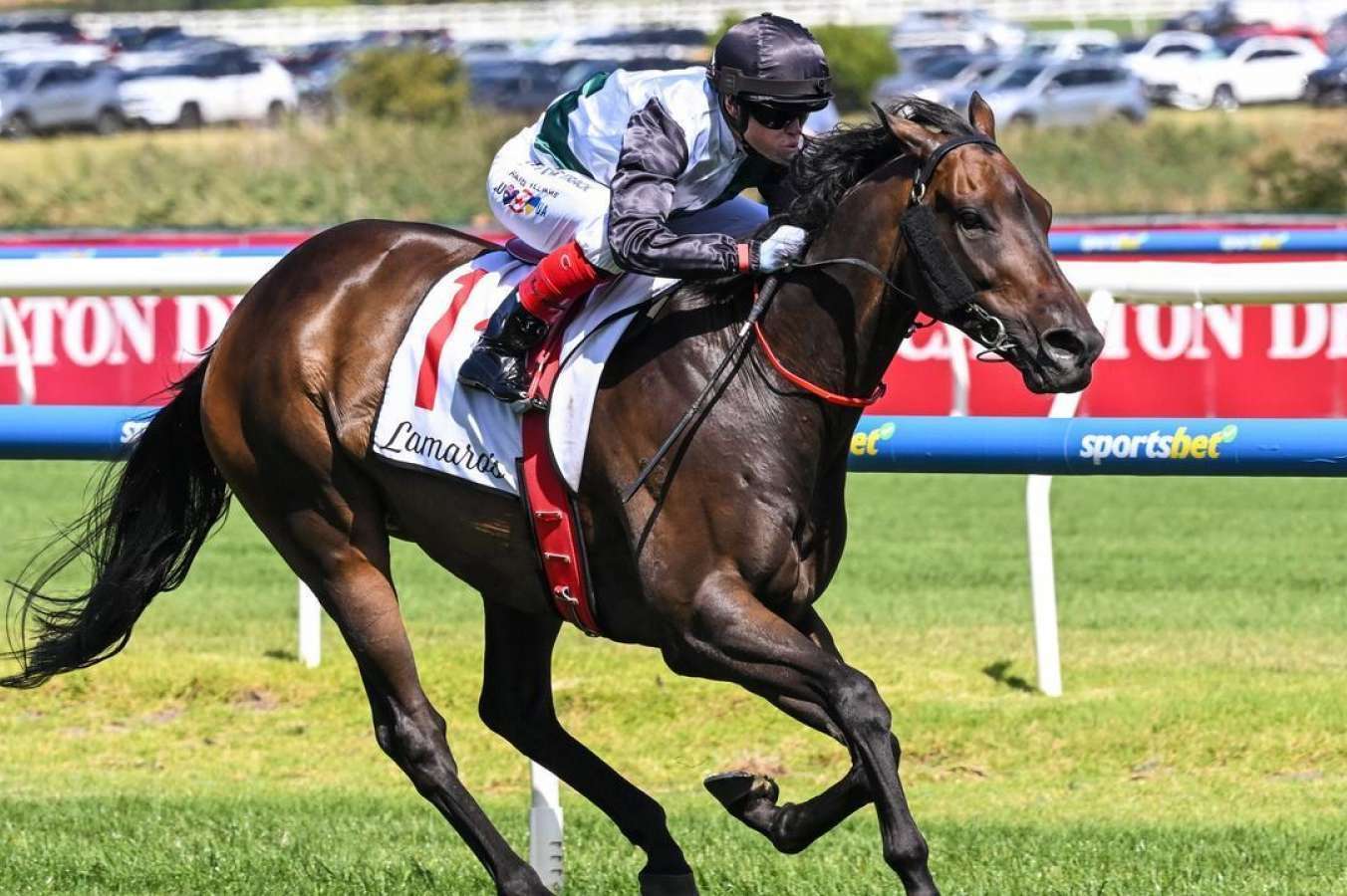 All Star Mile field, barrier draw: Wide gate for Mr Brightside