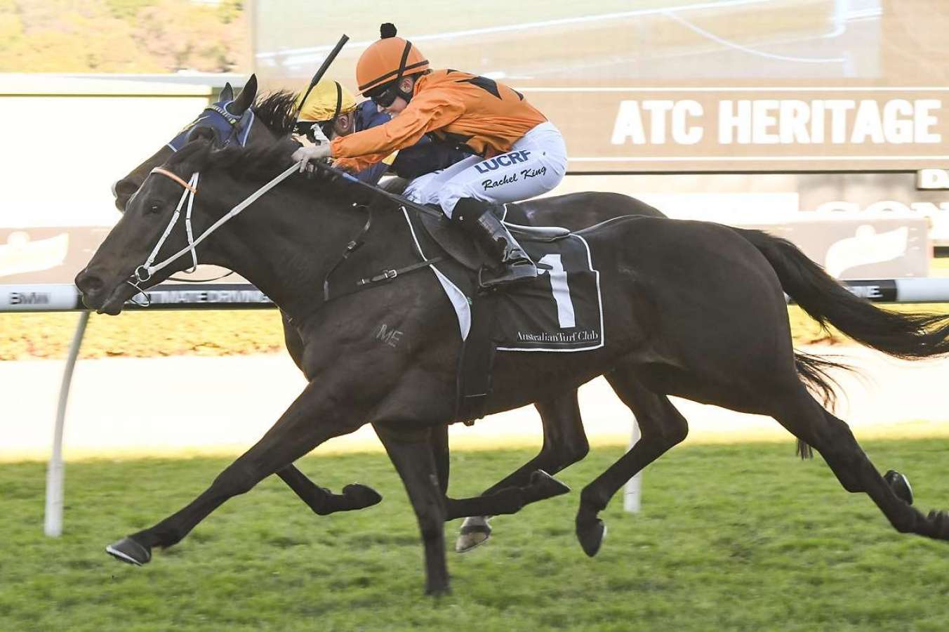 Rachel King's star continues to rise