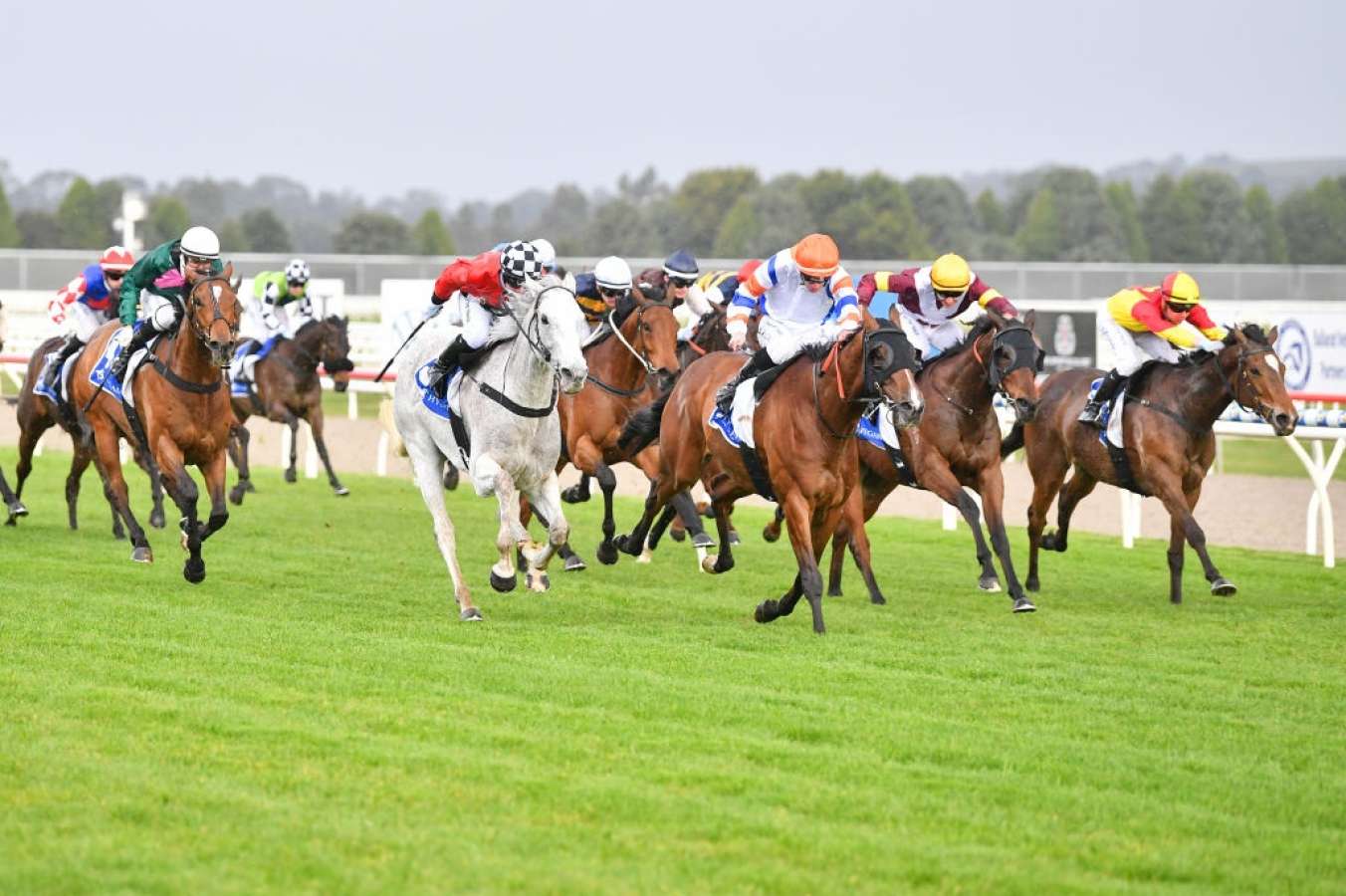 Best bets and expert tips for Ballarat races Thursday