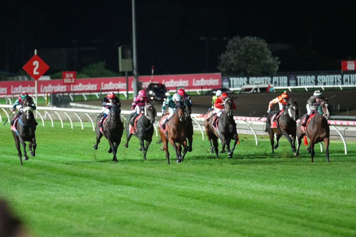 Best bets and value play for Friday night's Cranbourne races