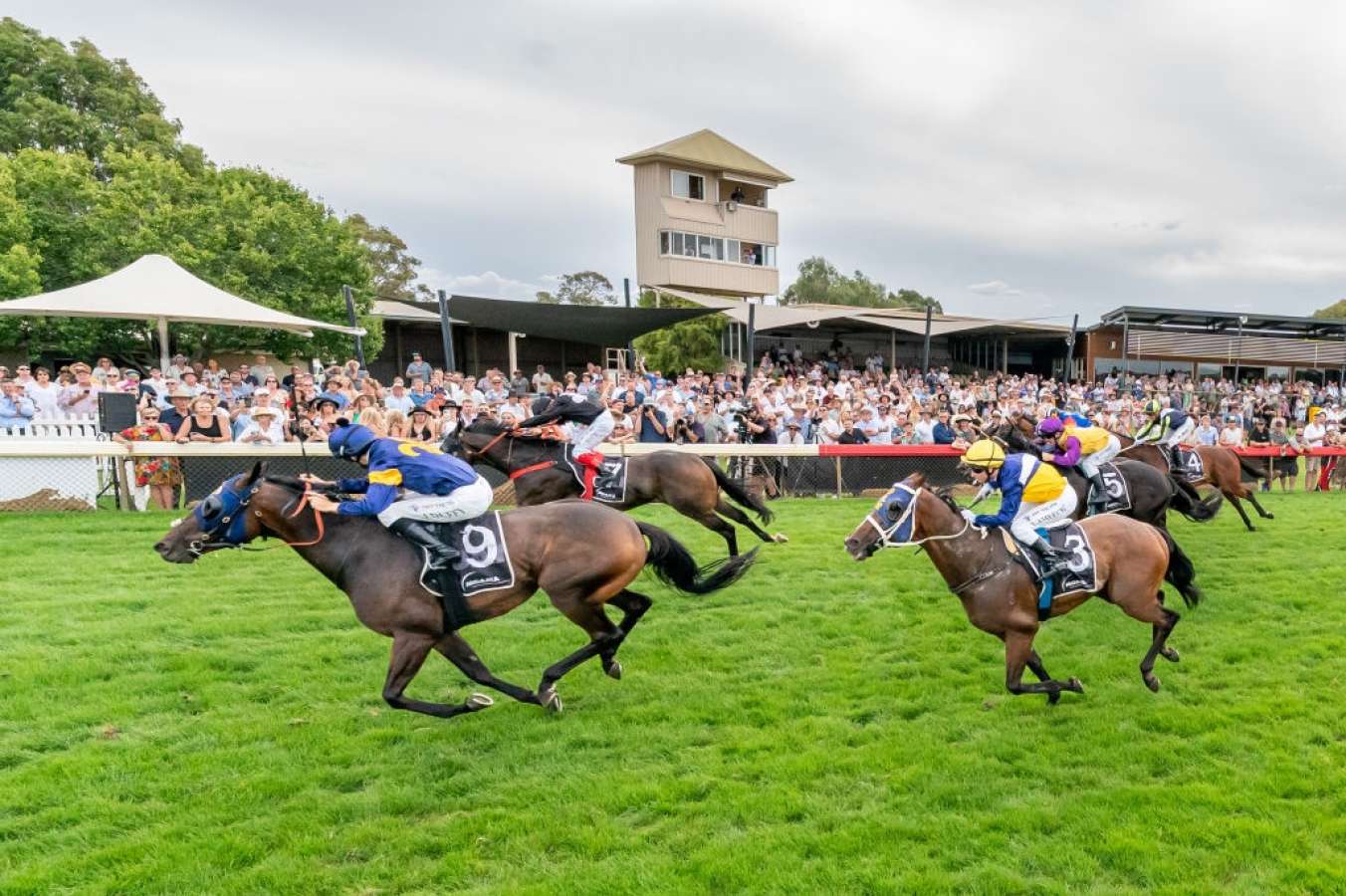 Daniel Sankey's Echuca tips for Good Friday racing: April 18, 2025