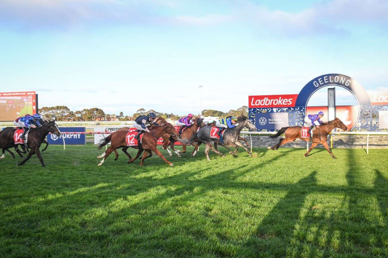 Best bets and expert tips for Geelong races Friday