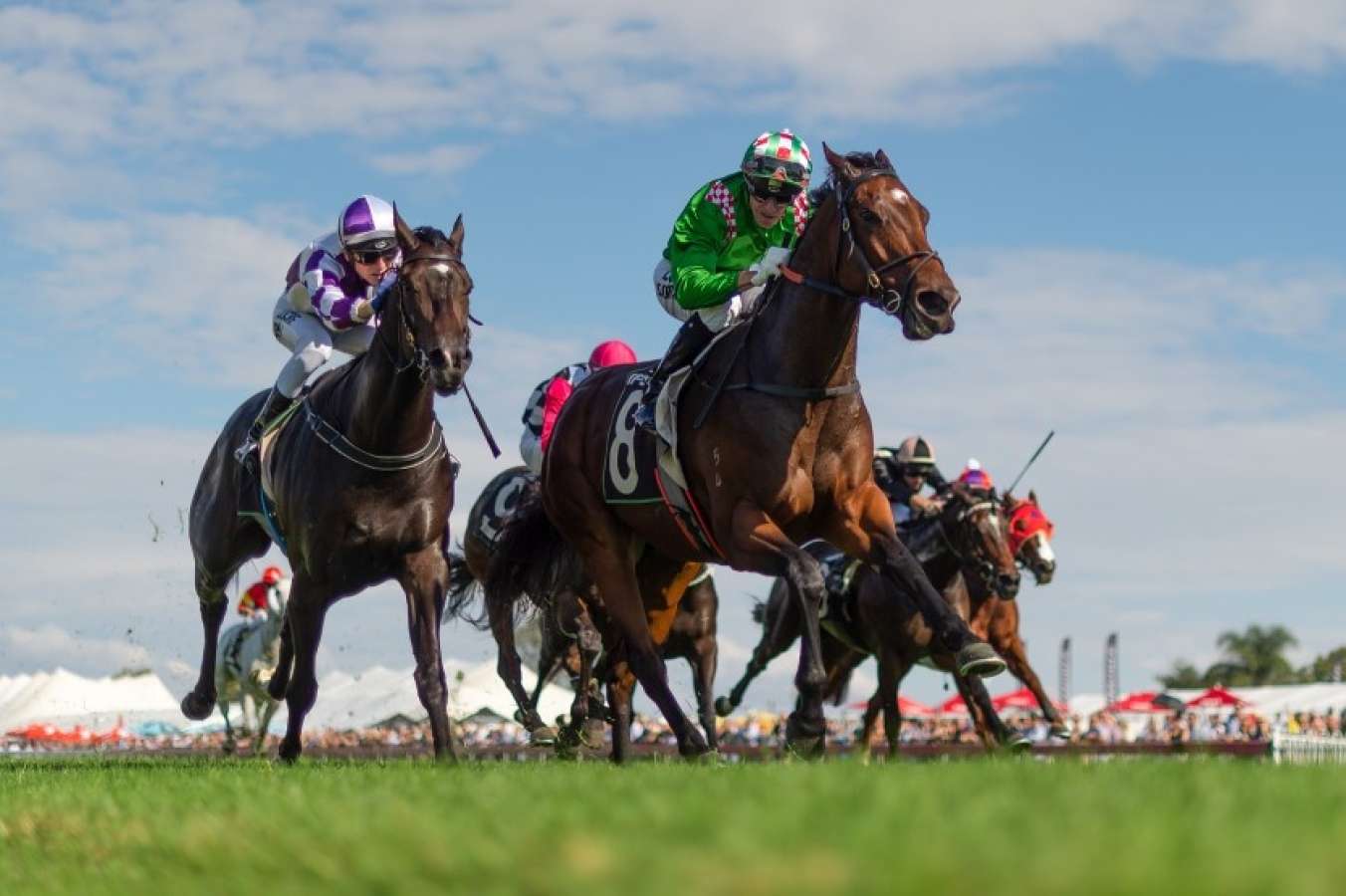 Ipswich Cup Day preview and tips: $6 best bet
