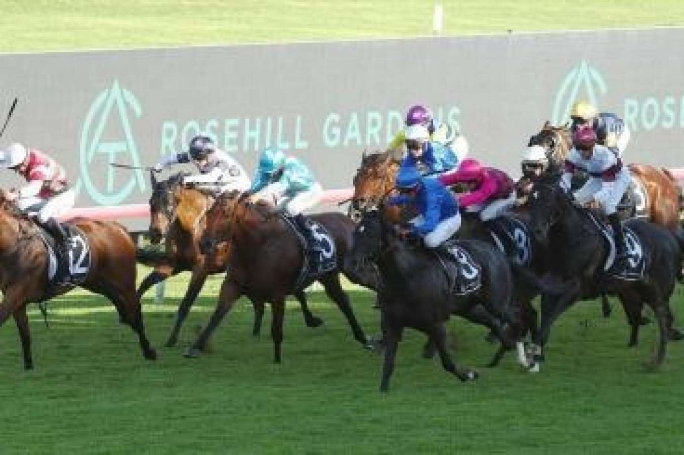 Rosehill racecourse to be sold in mega $5 billion deal