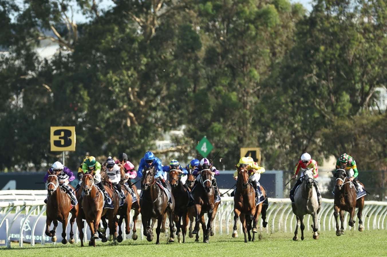 Rosehill preview and tips: Saturday, December 7