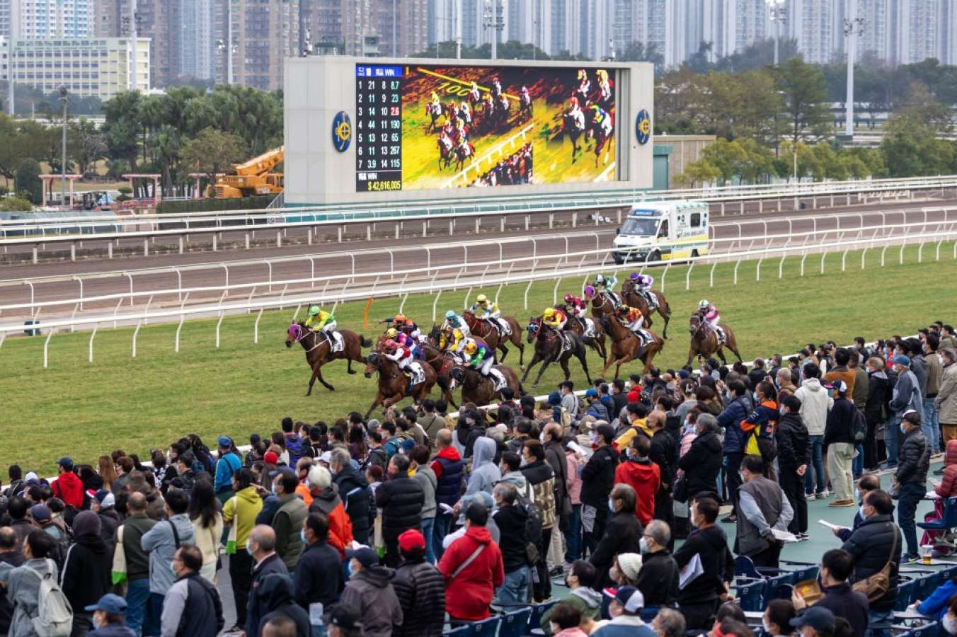 Sha Tin preview and tips: Sunday, January 15