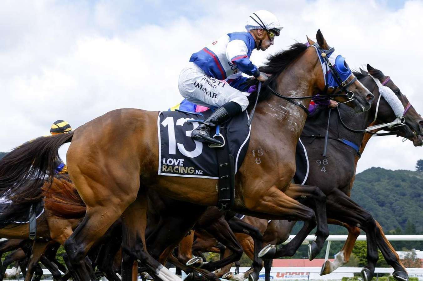 Jumps racing to continue in New Zealand following industry consultation