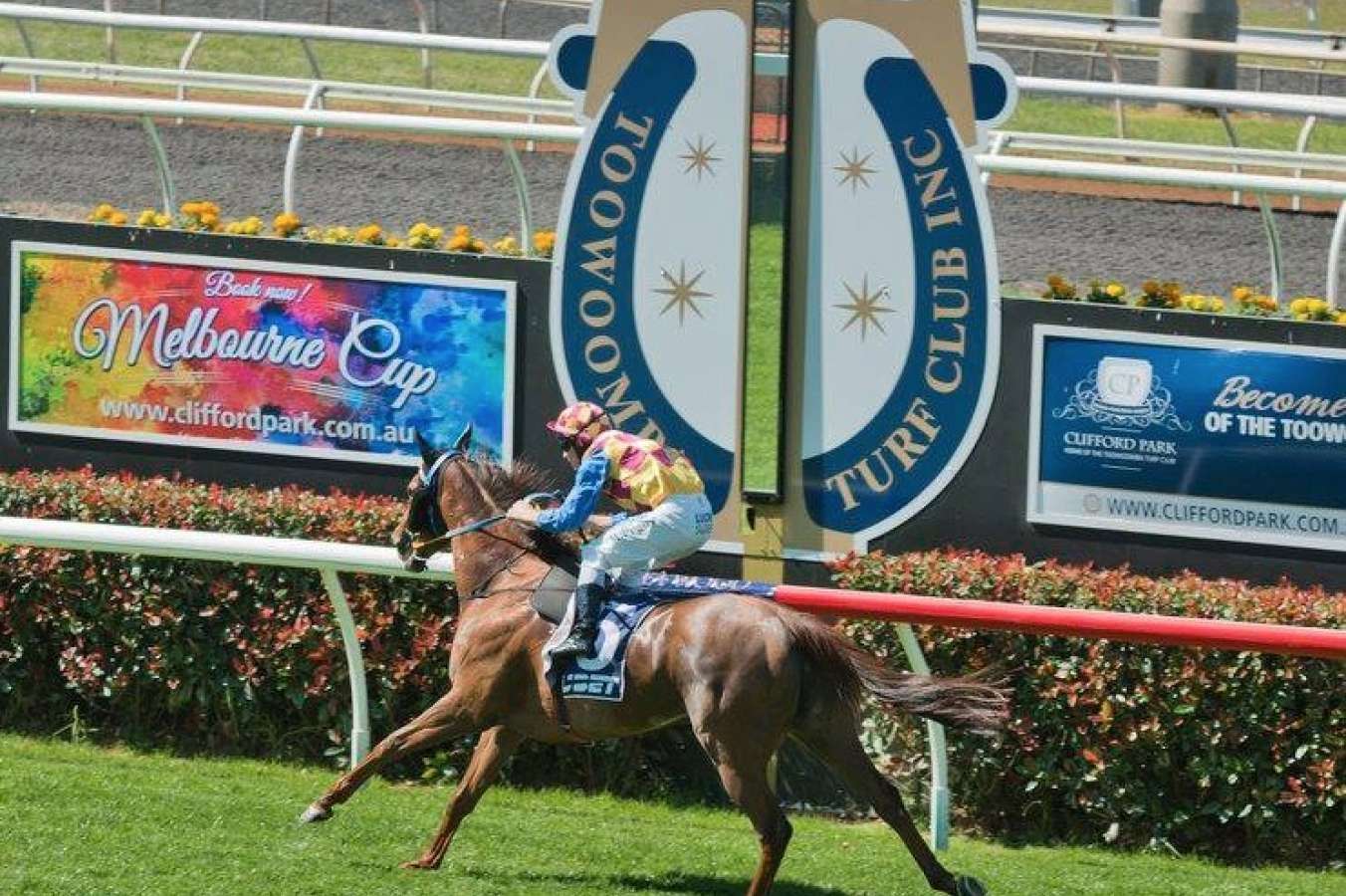 Toowoomba preview and tips: Saturday, March 5