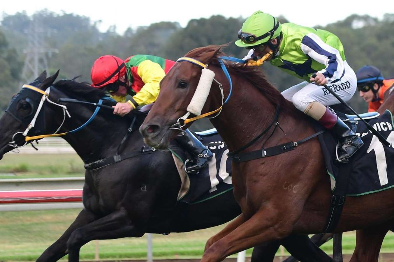 Ipswich preview and tips: Wednesday, February 5