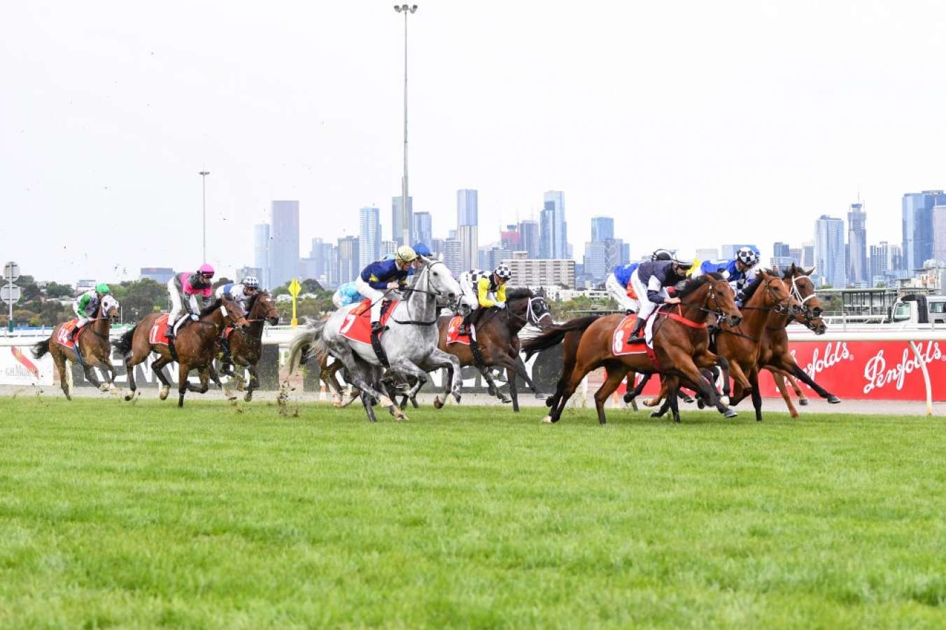 Melbourne Cup track vandal: Victoria Racing Club refer incident to police
