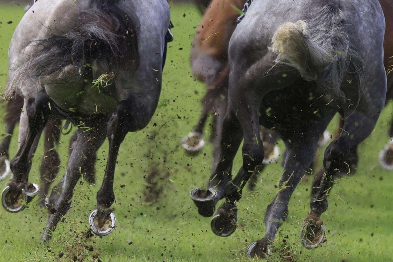 Racing Victoria likely to announce up to $30m in budget cuts