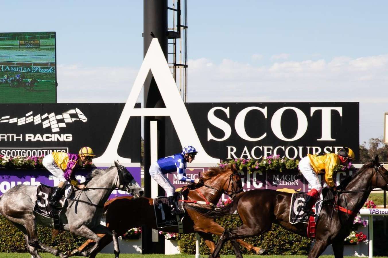 Racing WA and Seven Network join forces in multi-year broadcast deal