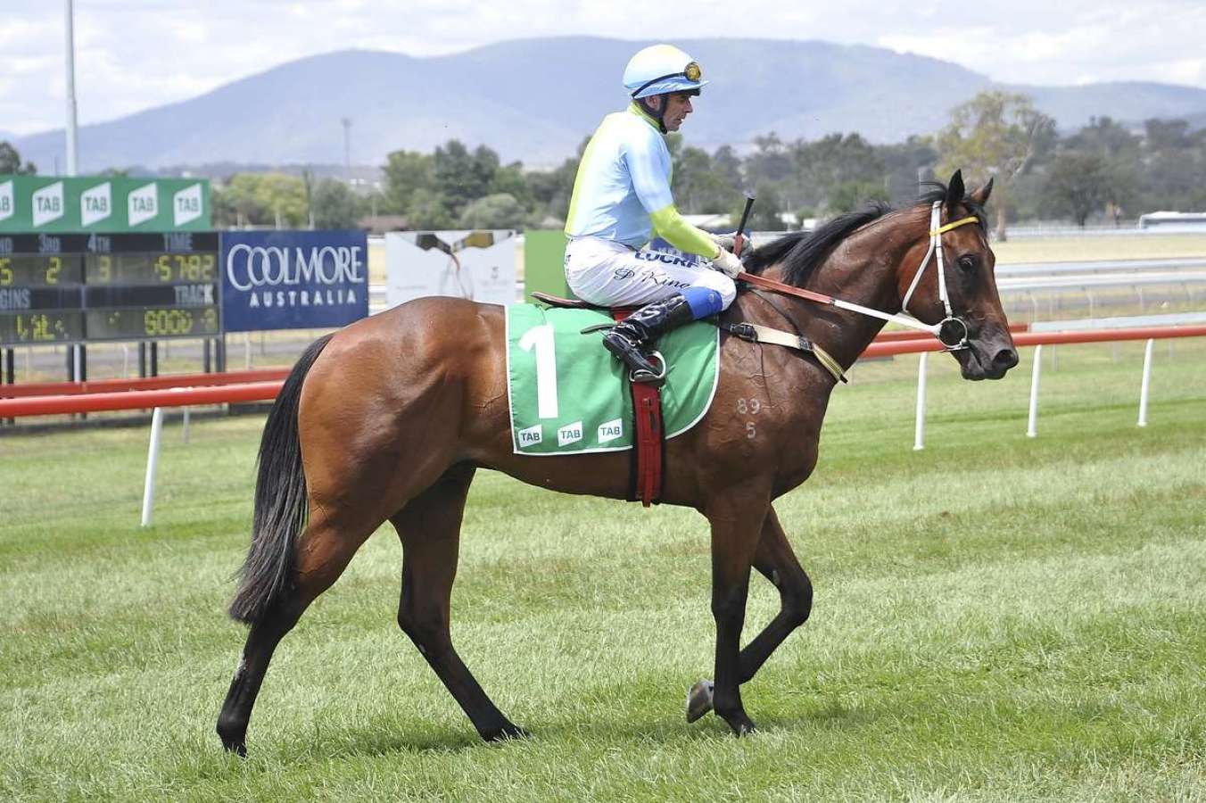 Ragged Rascal now a calmer character