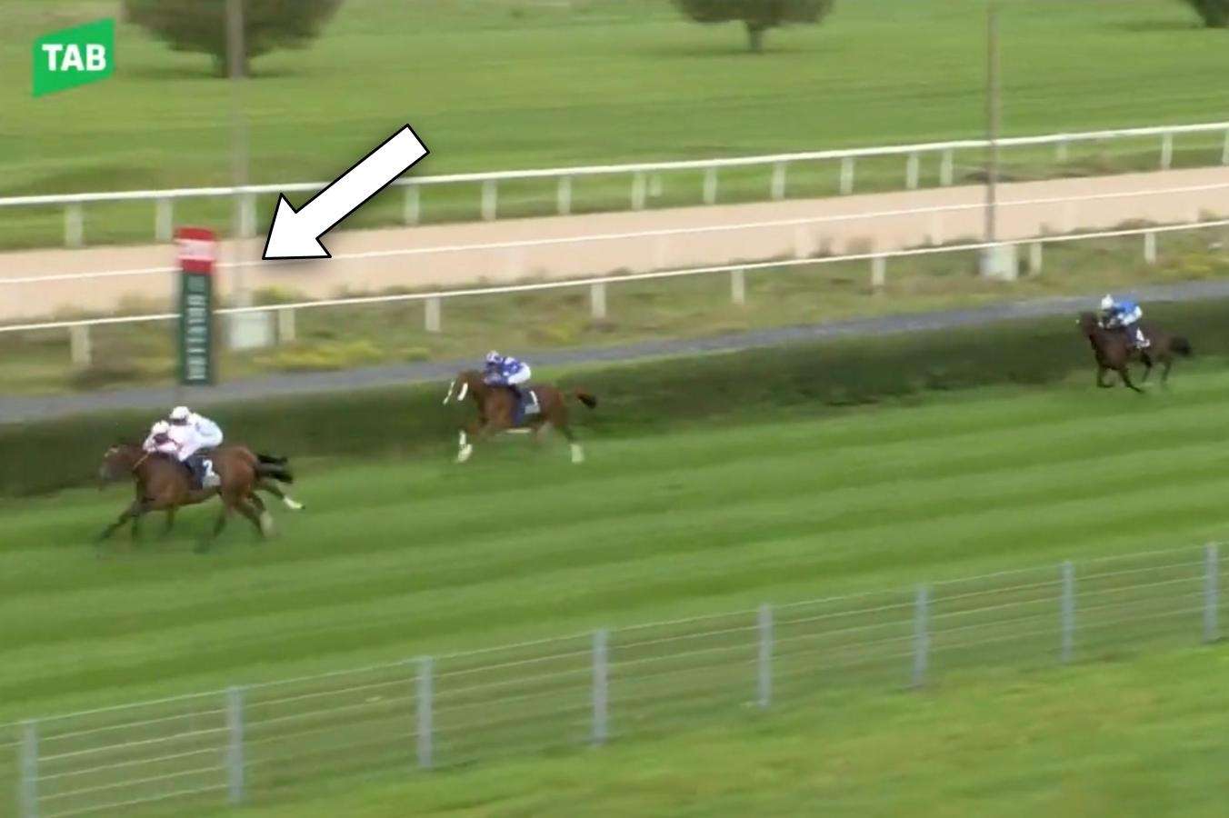 Things You Might Have Missed - October 9