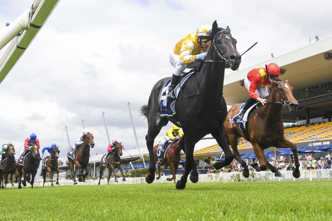 Golden Slipper scratching: Gai Waterhouse, Adrian Bott trained colt ...