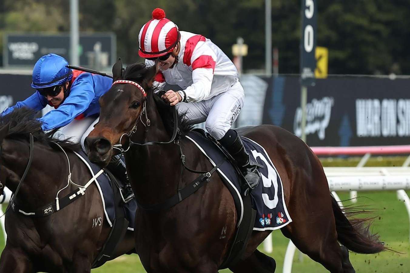 Hong Kong is calling for the unbeaten Charming Legend