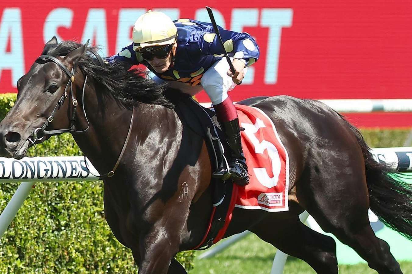 Raf Attack targets Group 1 after tough win in Gloaming Stakes