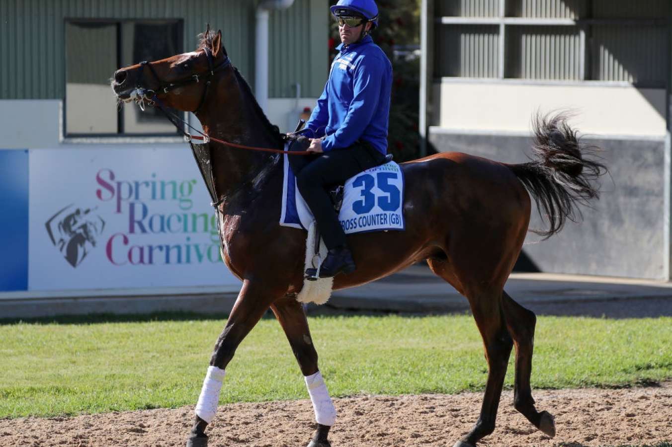 Cross Counter chases slice of Melbourne Cup history