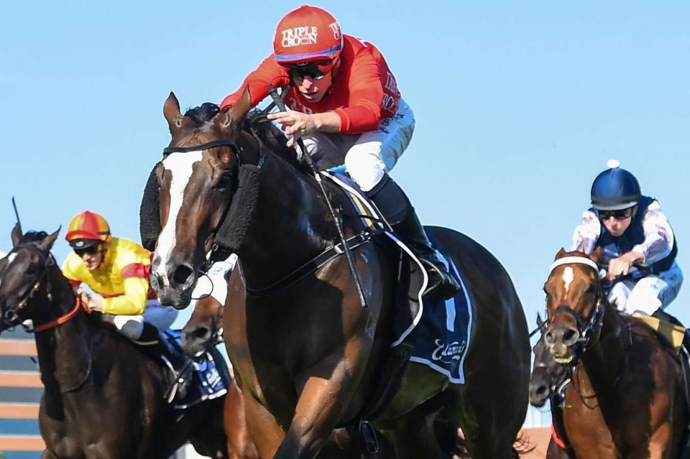 Revolutionary Miss primed for classic Coolmore showing