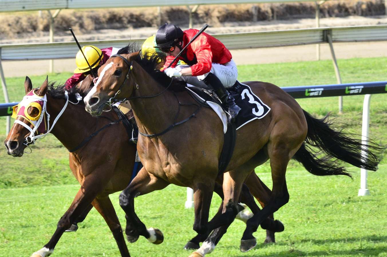 McMahon returns to metro racing spotlight