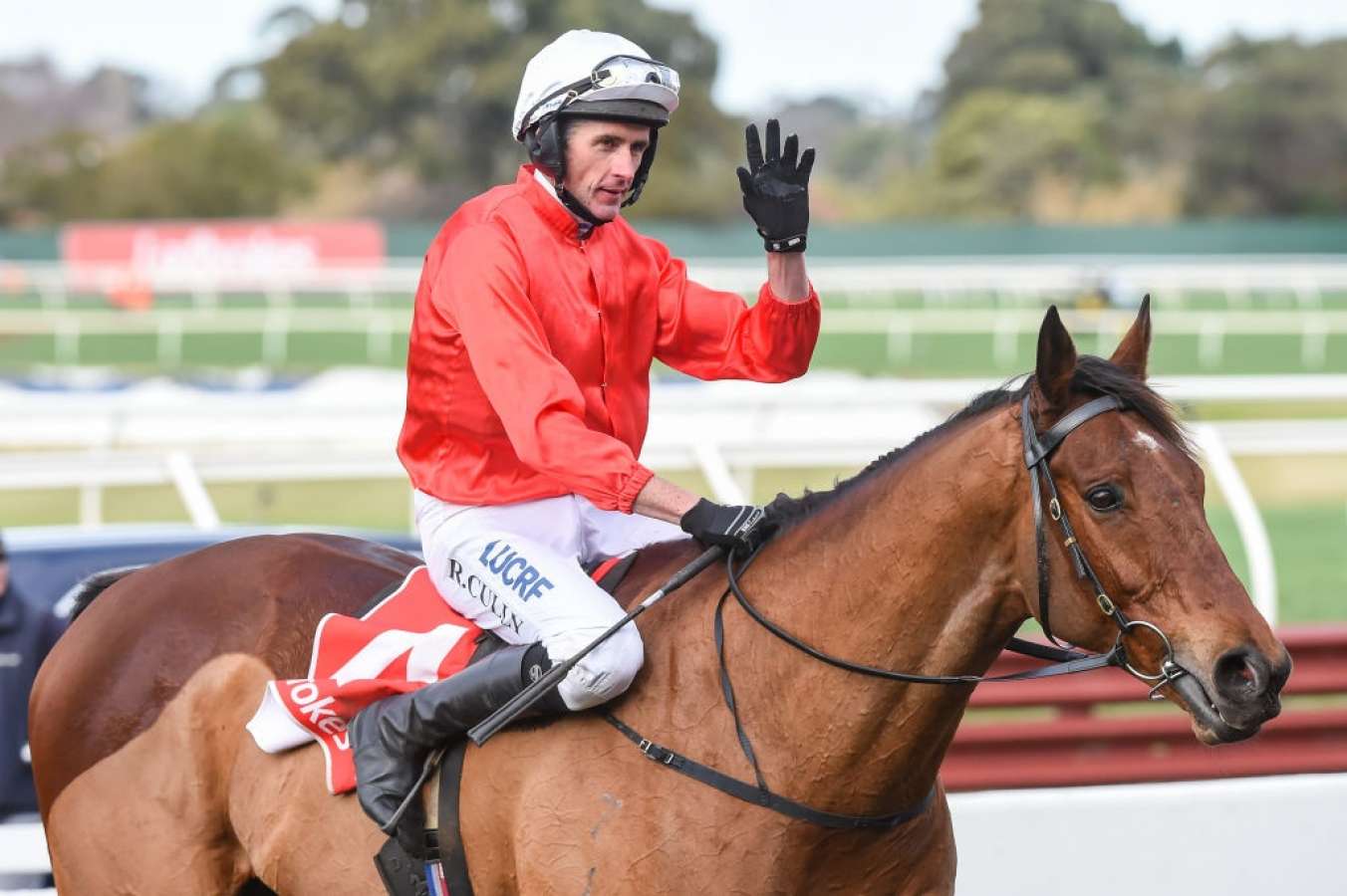 Sir Lopez wins Australian Steeplechase