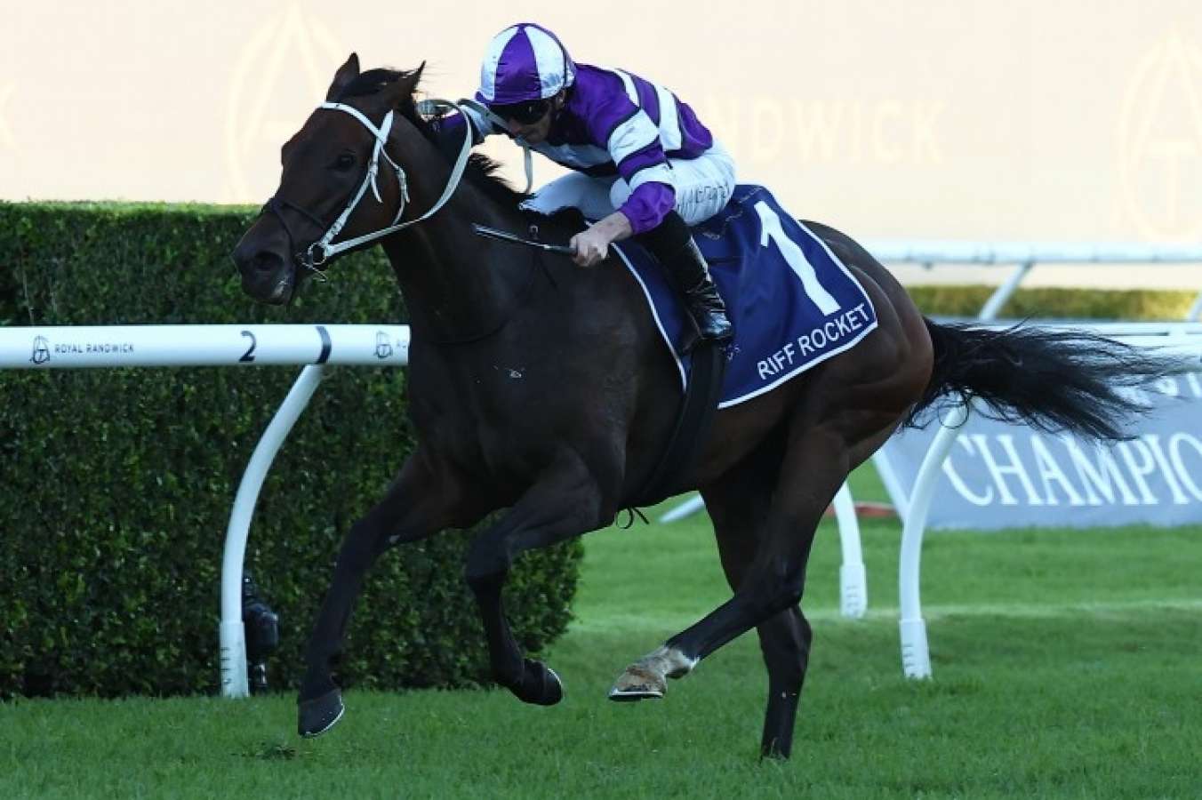 J-Mac peach helps Riff Rocket to land his second Derby