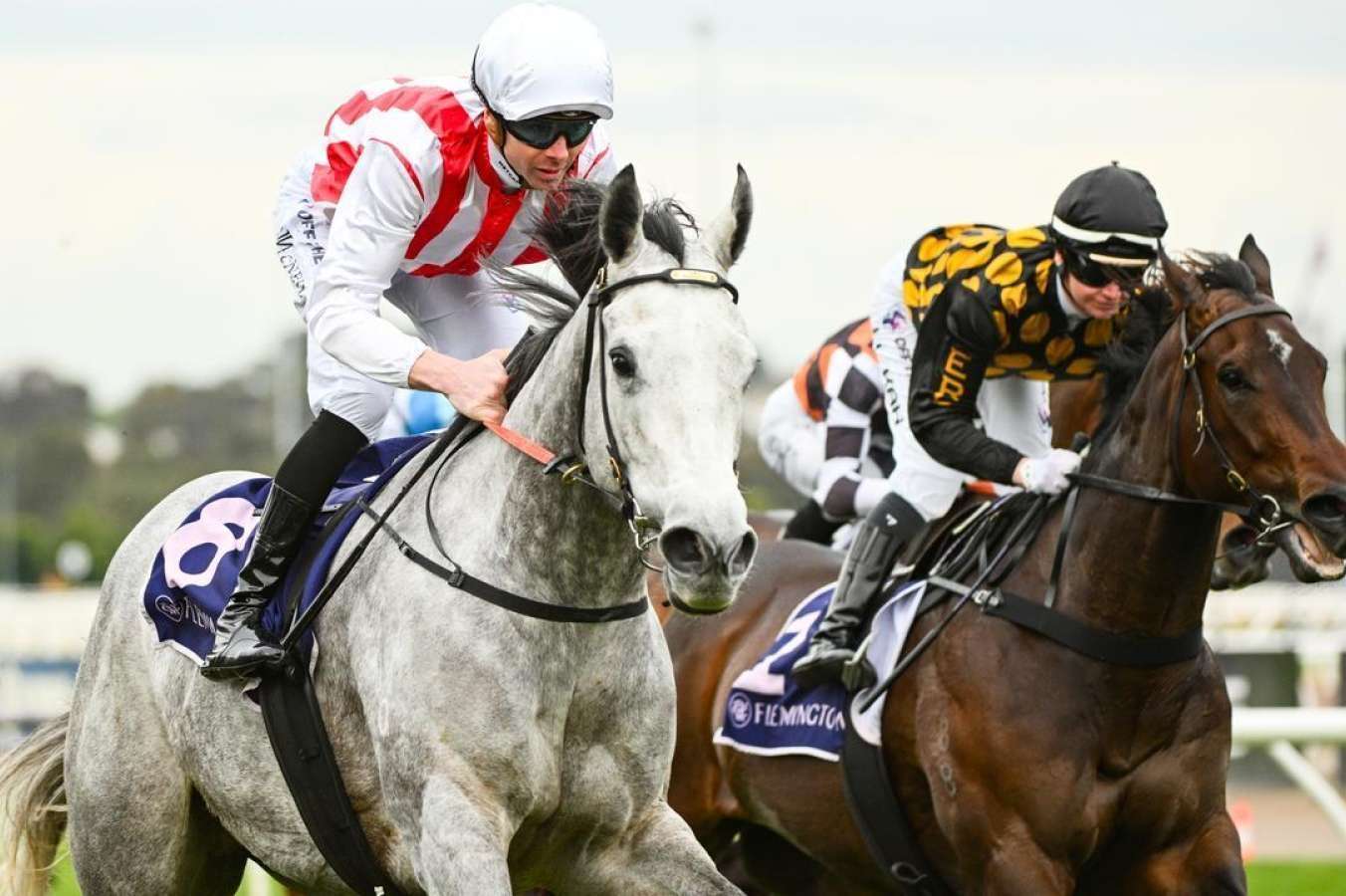 Punters post-race: Saturday racing in review [August 3, 2024]