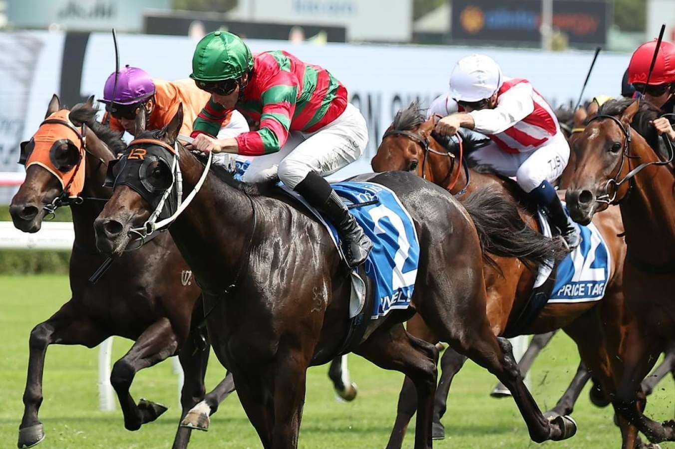 'It's the right year': Kris Lees to get Golden Slipper gauge on ...