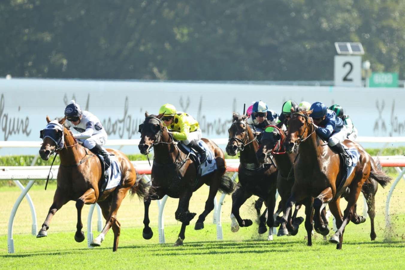 Punters post-race: Saturday racing in review [December 14]