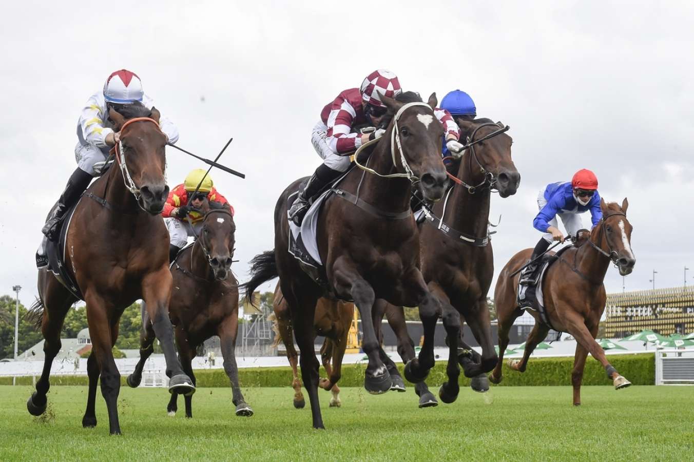 Rocket Tiger delivers first city win for trainer Scott Spackman