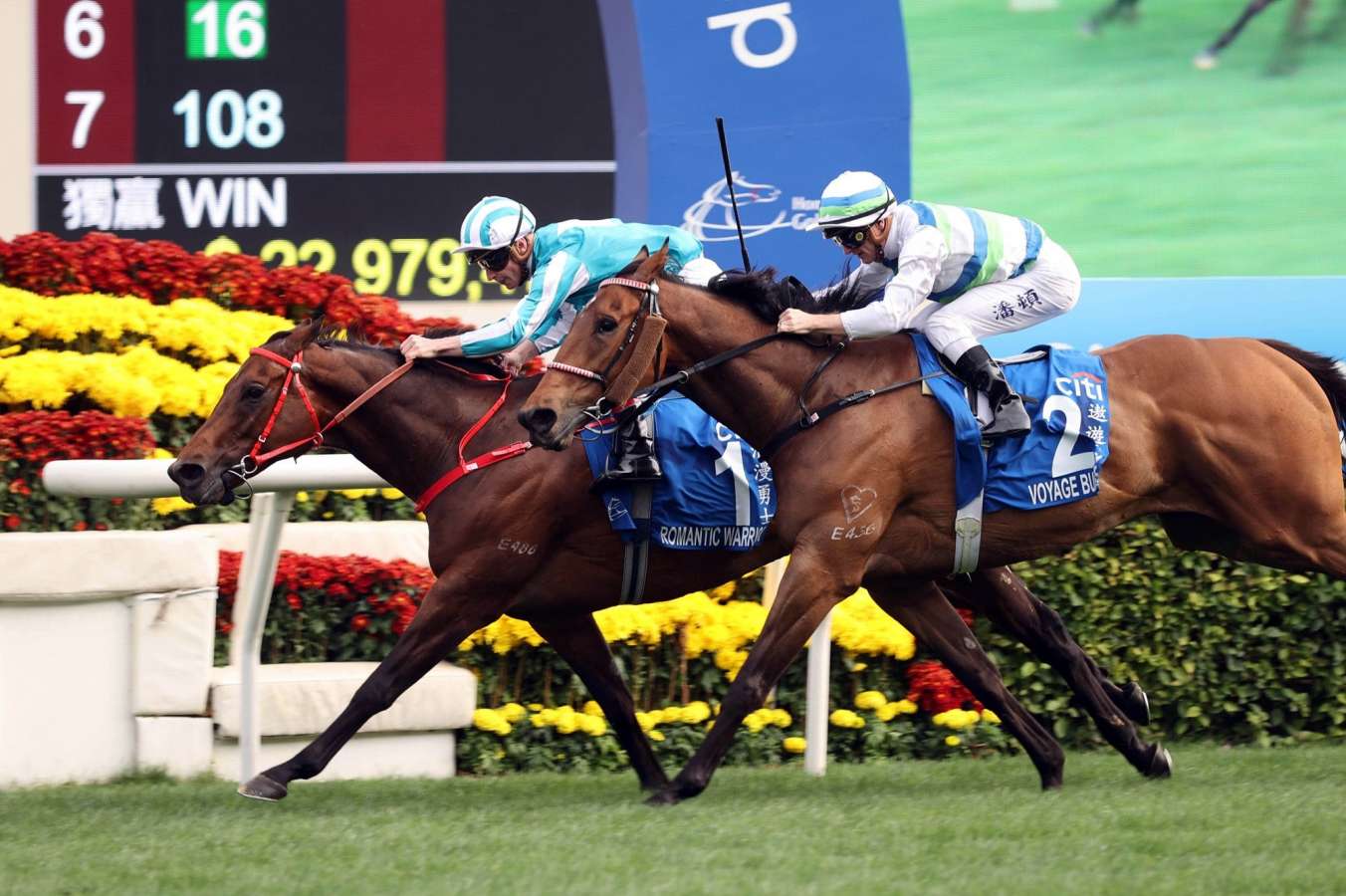 Romantic Warrior, James McDonald clinch epic G1 Hong Kong Gold Cup