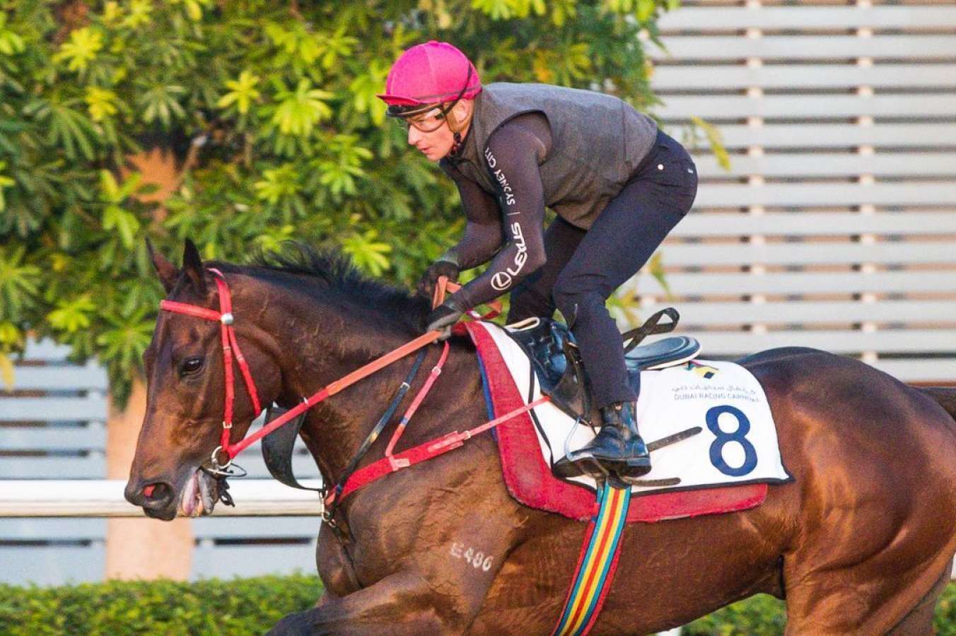 Romantic Warrior to face seven rivals in G1 Jebel Hatta