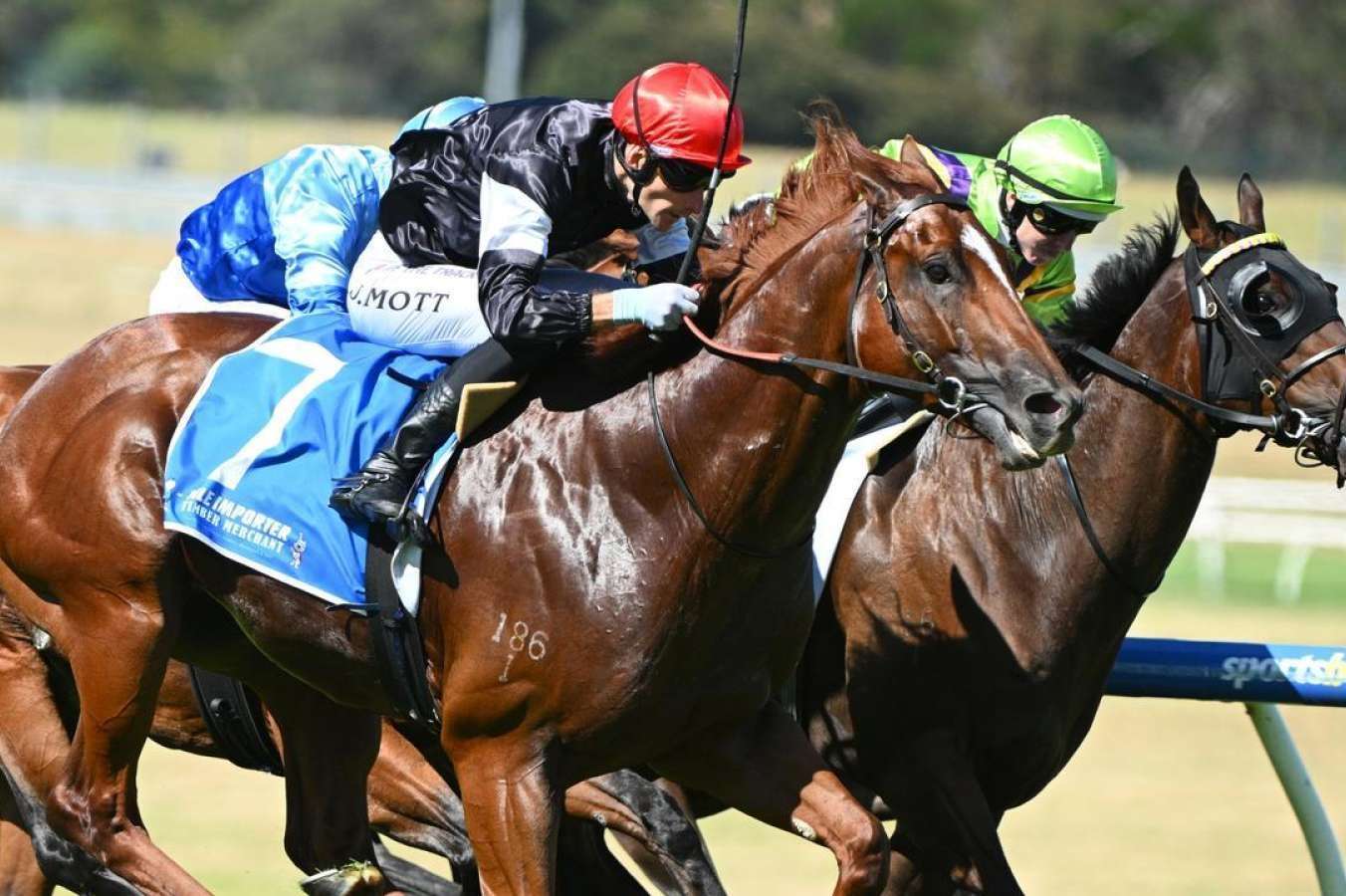 Manfred Stakes win tinged with sadness for trainer Grahame Begg