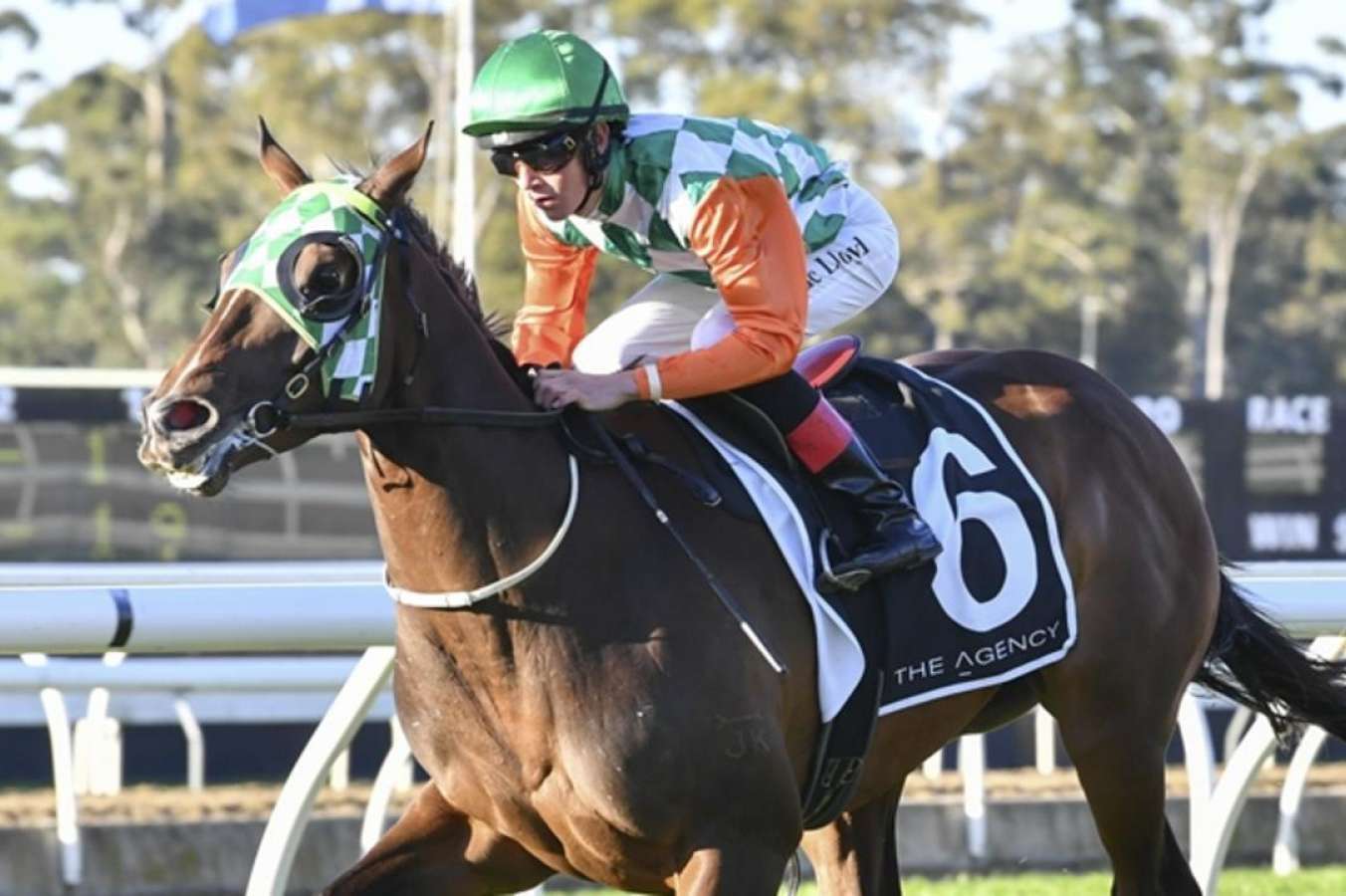 Husband-wife team out to thwart Chris Waller in Rowley Mile