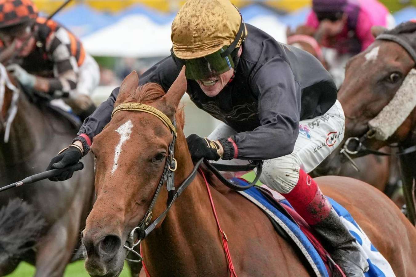 2025 Sunline Stakes: Rumbled Again aims for Valley upset