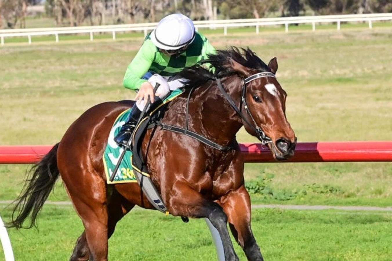 Certainty beaten seeks redemption at Morphettville Parks