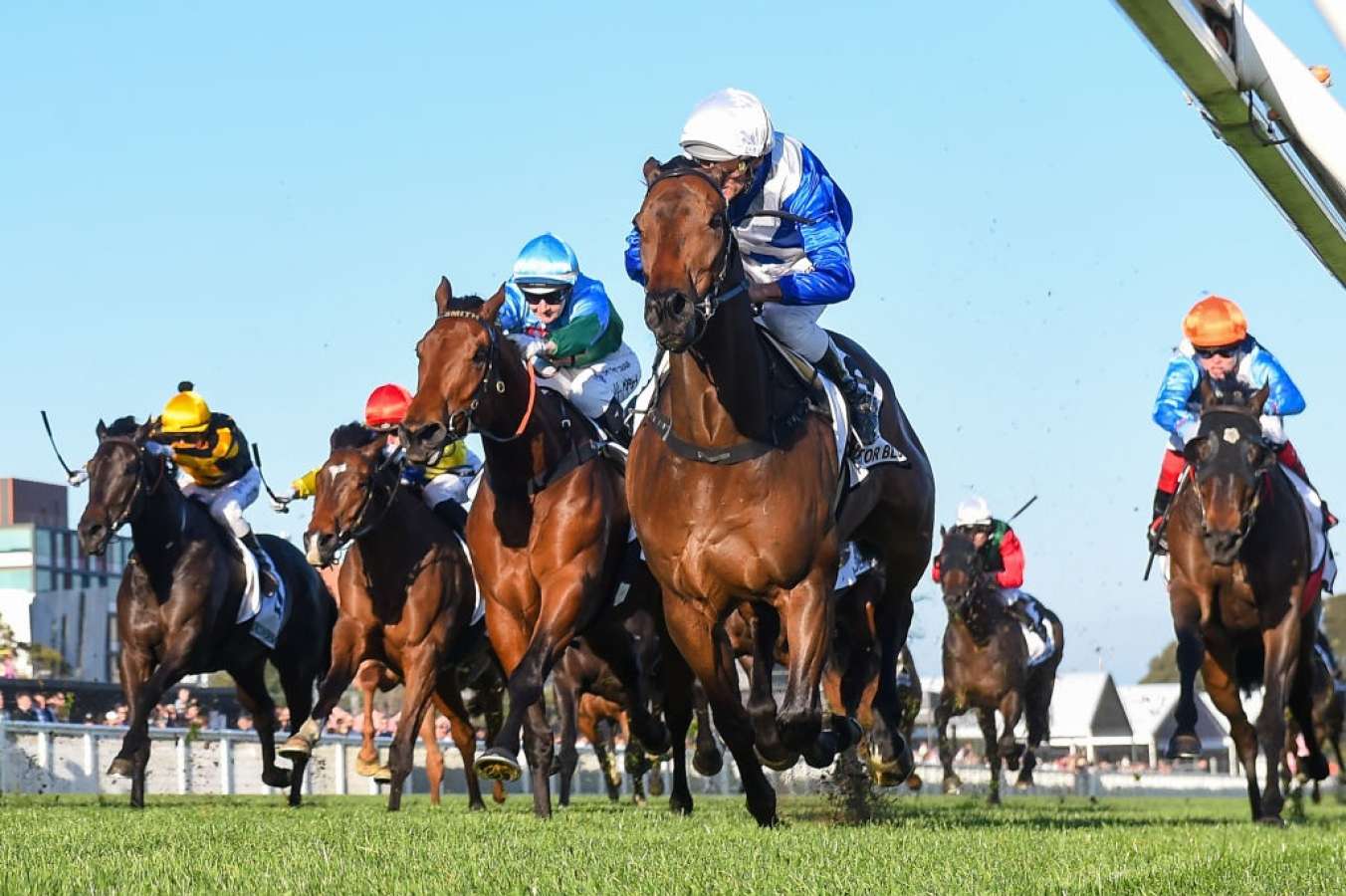 Underwood Stakes Field - 2024