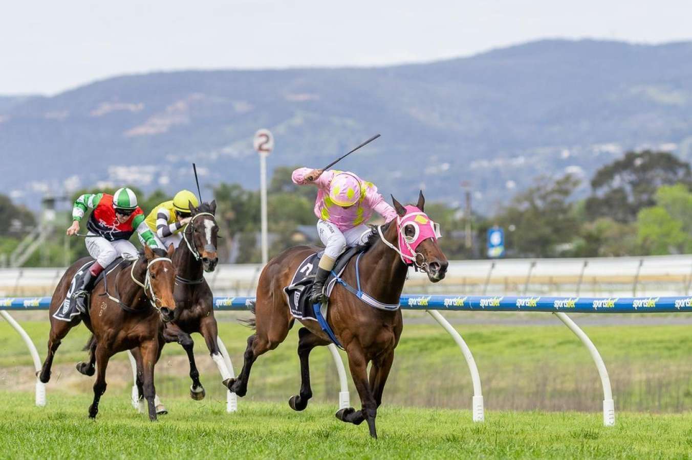 Online purchase Sacred Kenshi wins at first start for new trainer ...