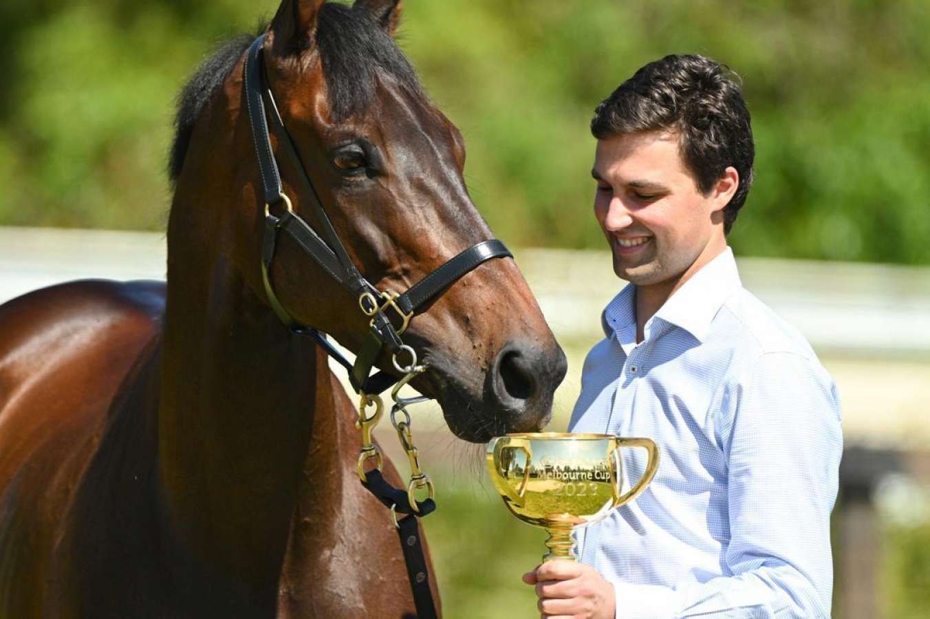 Freedman's unveil import with 'better form' than Cup winner