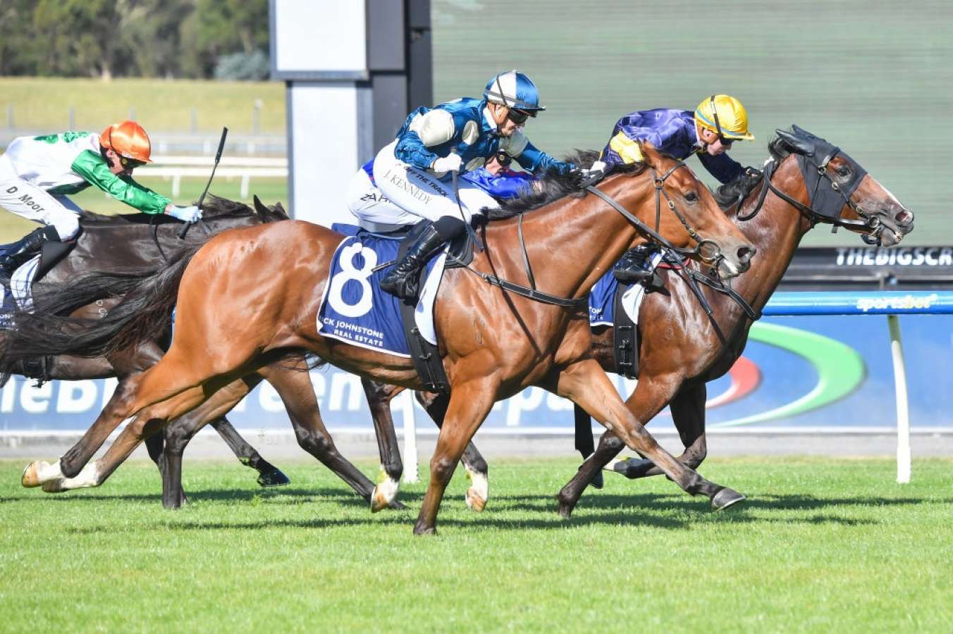 Sandown preview and tips, January 29