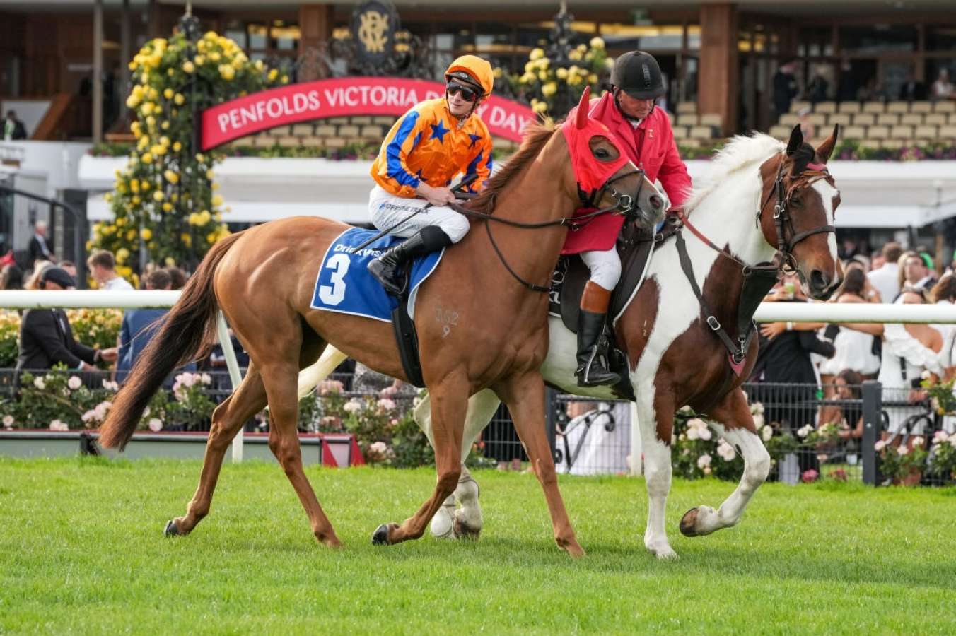 Caulfield: Sans Doute capable of upset with clear run