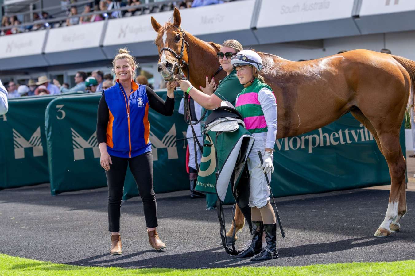 SA trainer Sarah Rutten thriving on her own after seven years under ...