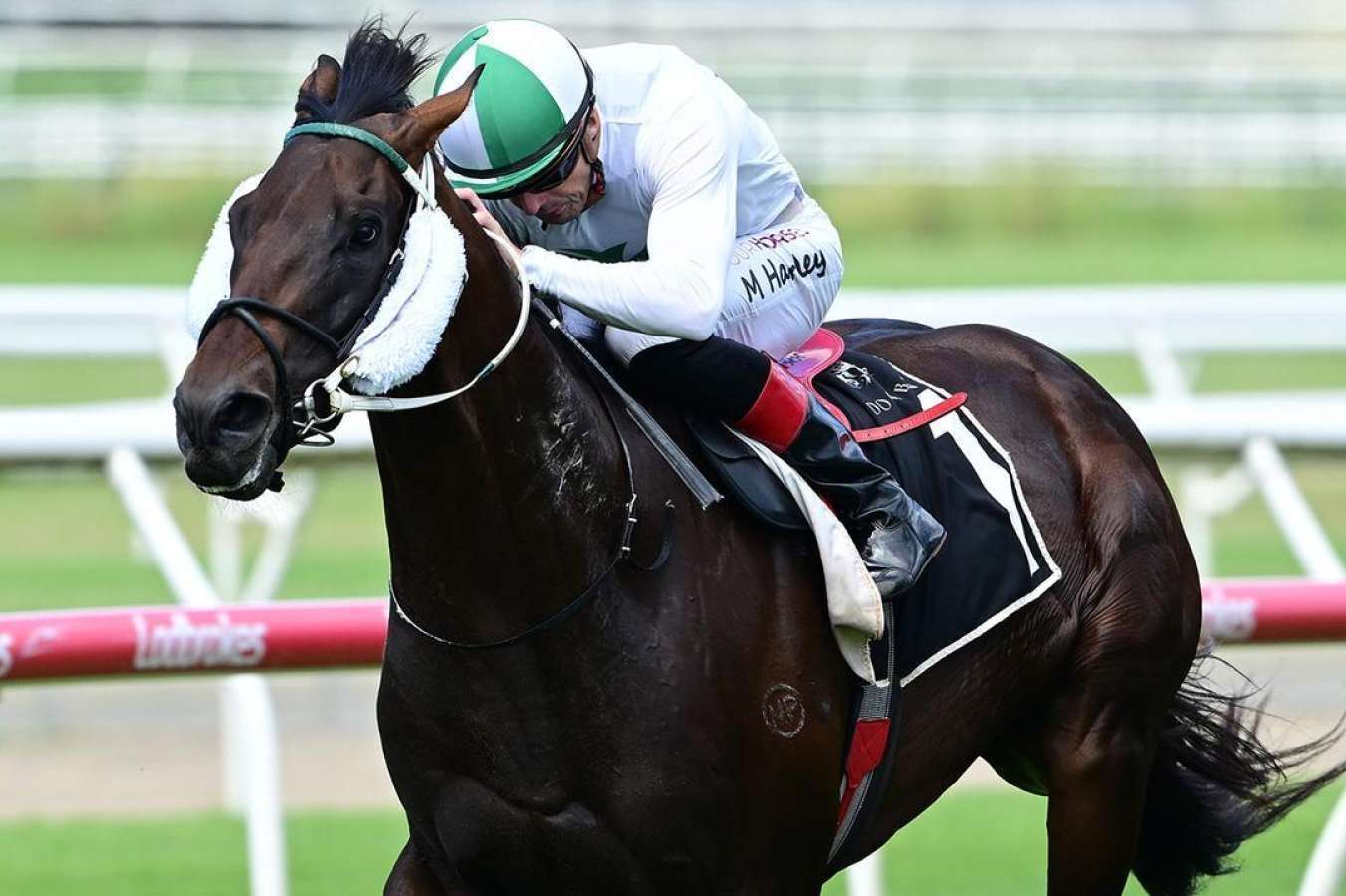 Laming's eager to Savour The Dream of autumn riches